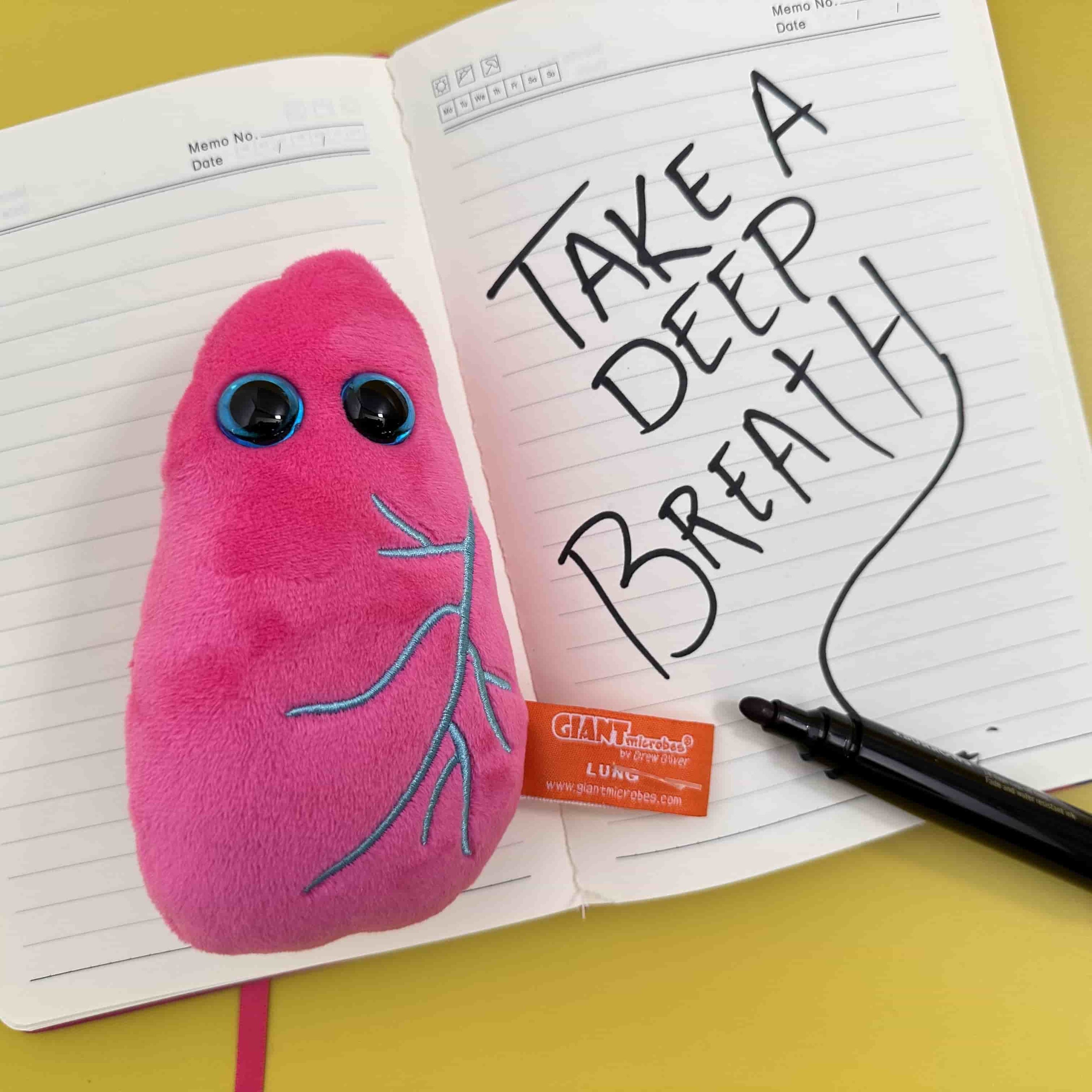 Giant Microbes Australia