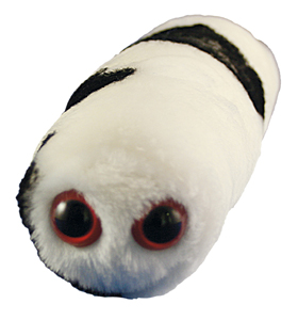Mad Cow | Bovine Spongiform Encephalopathy — Giant Microbes Australia