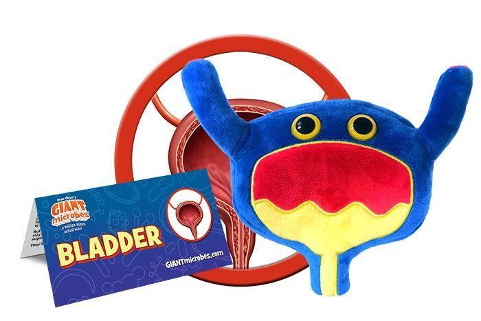 Bladder Organ — Giant Microbes Aus