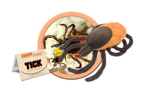 Tick — Giant Microbes Aus